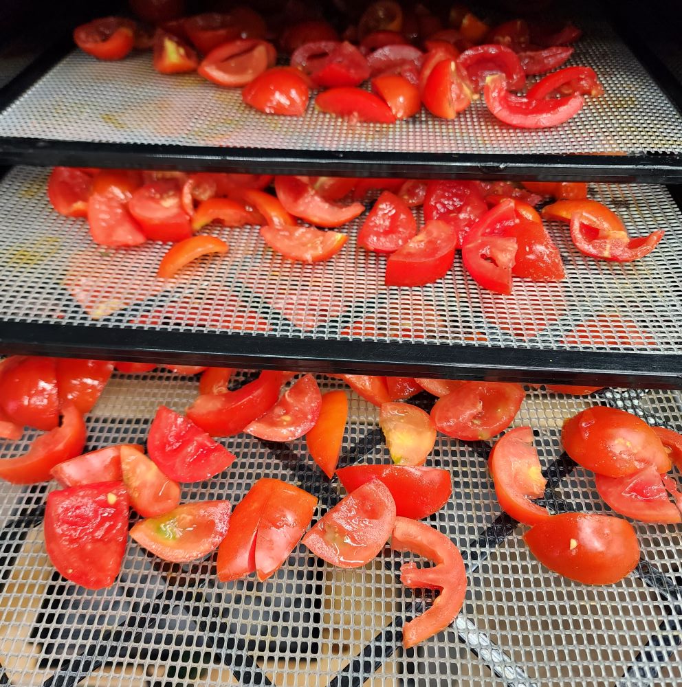 What Kind of Magic is Tomato Dust? – Gary Grows at Heritage Cottage
